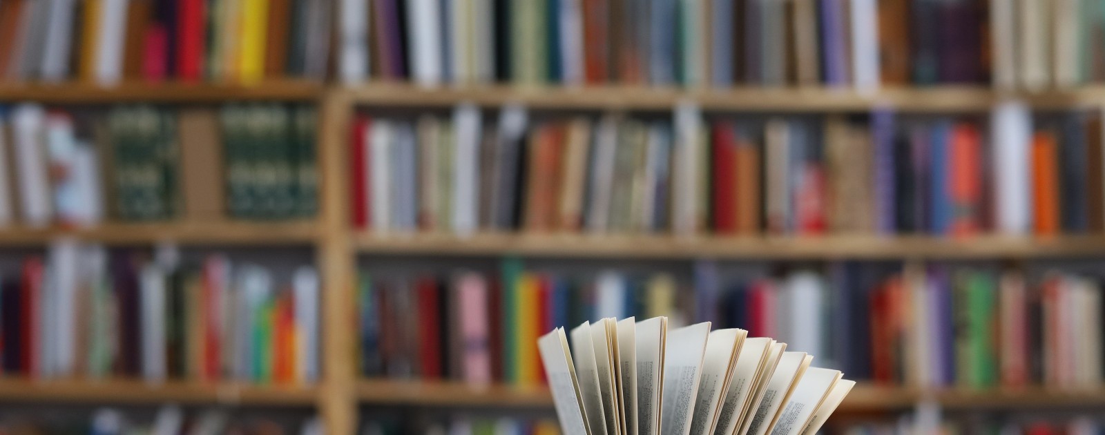 Documentation | ecomusee